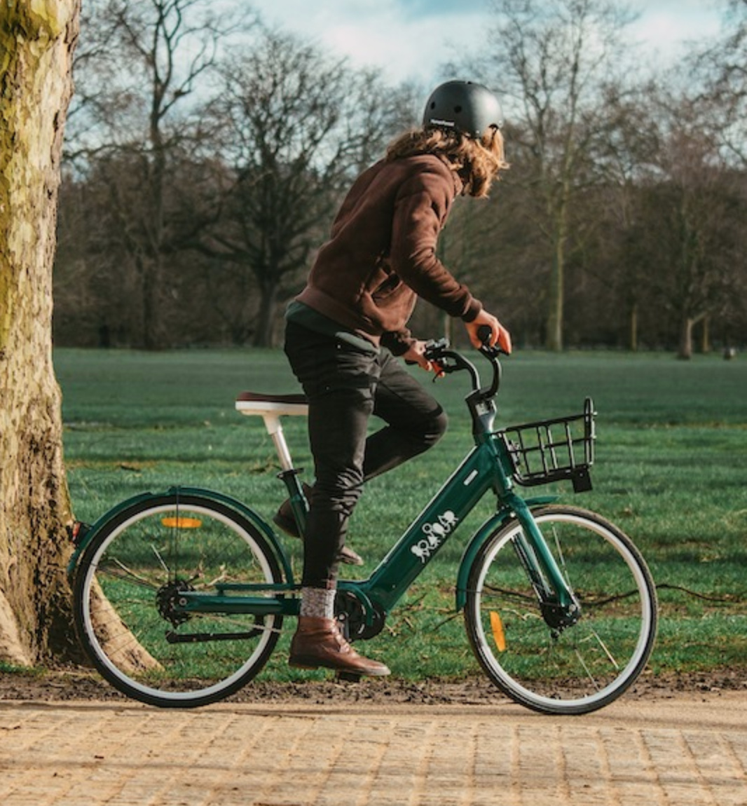 Human Forest – O.O'Brien